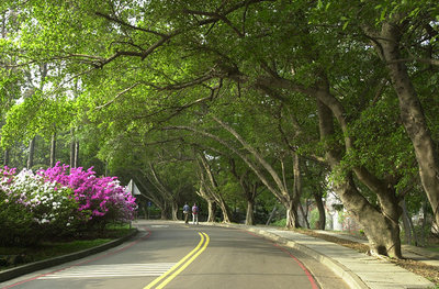 Division of Curriculum (including Nanda Campus)